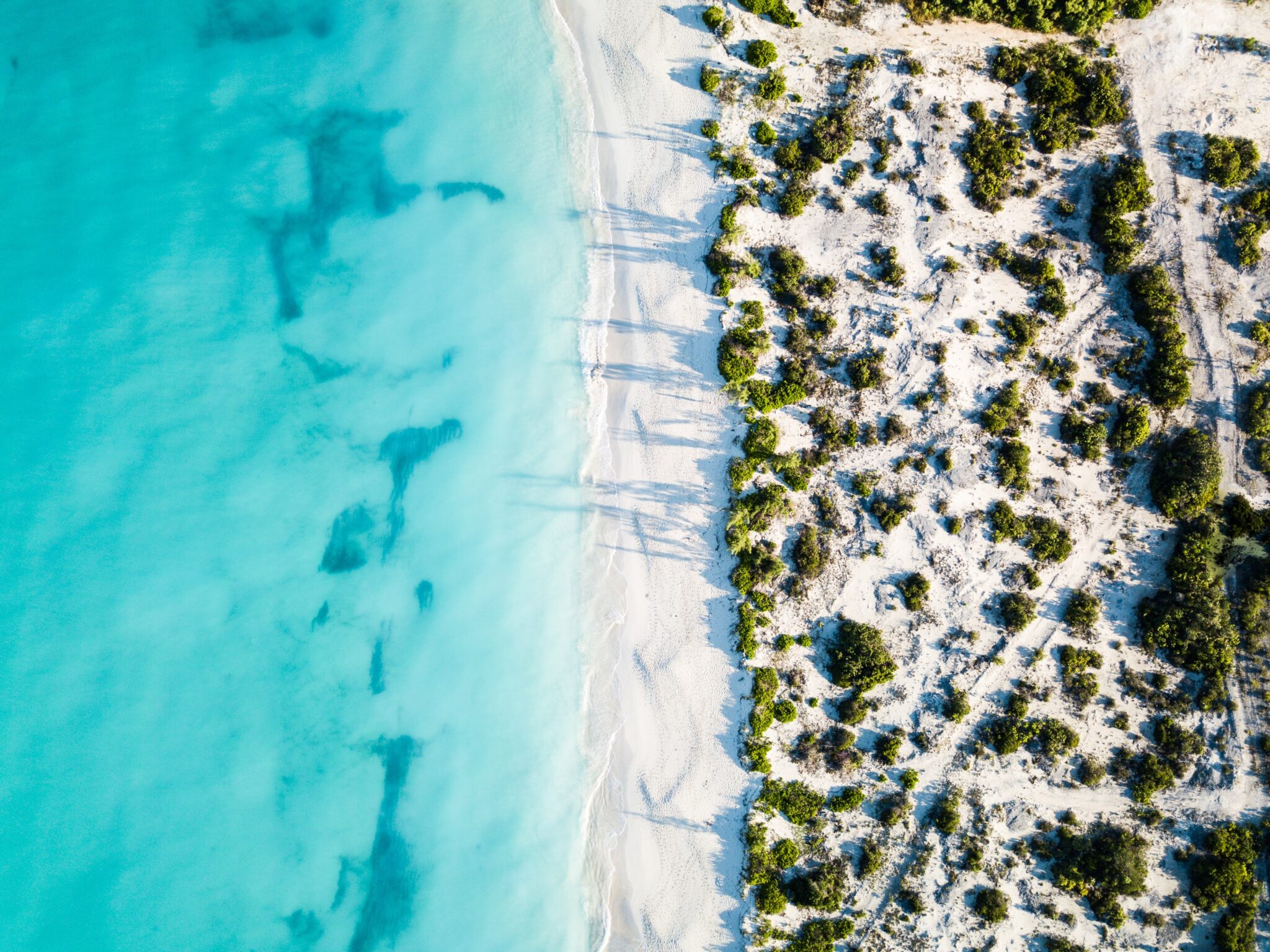 Ilhas Turcas e Caicos: Um Oásis Tropical Imerso em Beleza e História ...