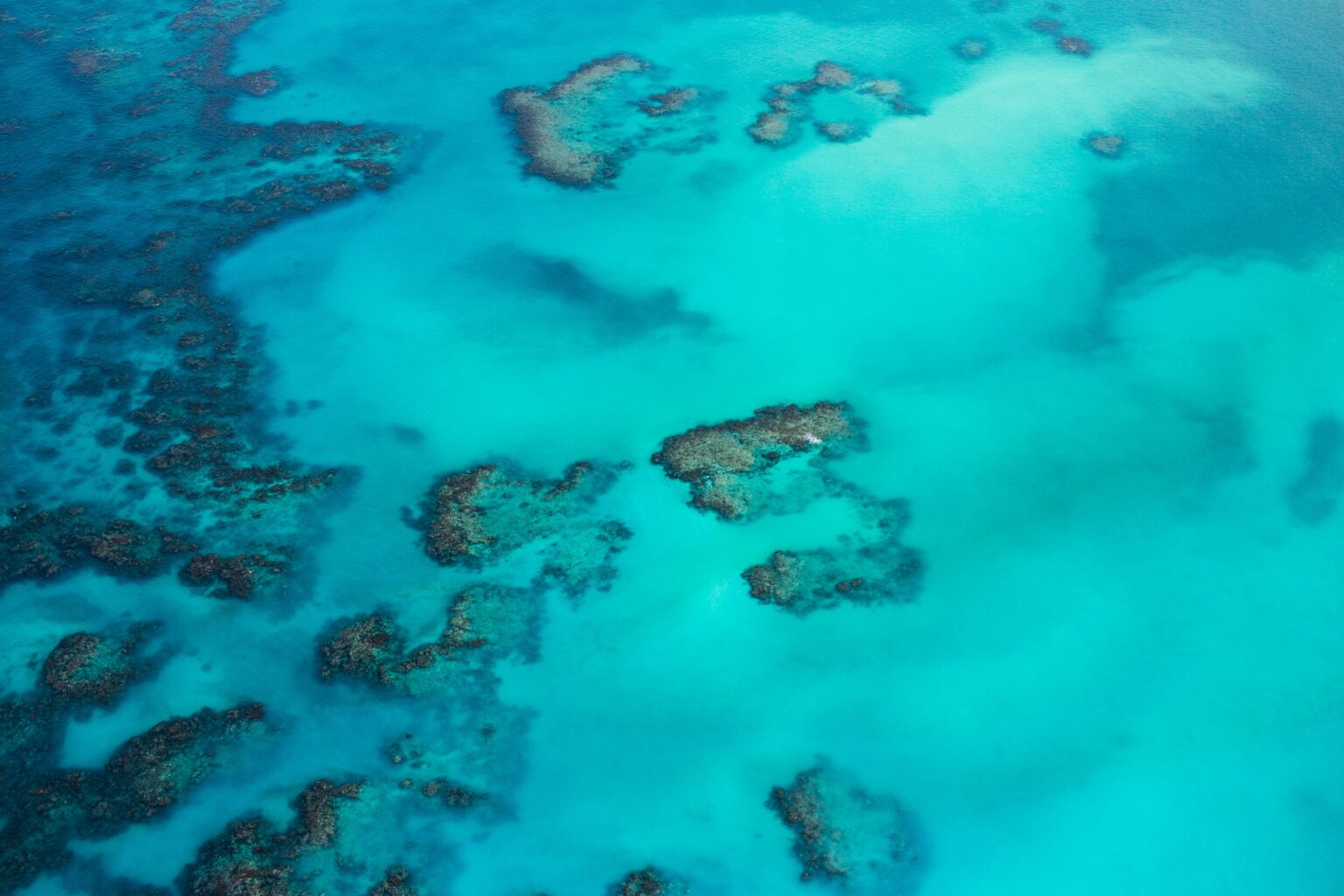 Ilhas Turcas e Caicos: Um Oásis Tropical Imerso em Beleza e História ...