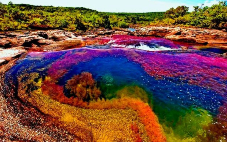 Caño Cristales: conheça o rio das 5 cores da colômbia - Viajar Sozinho