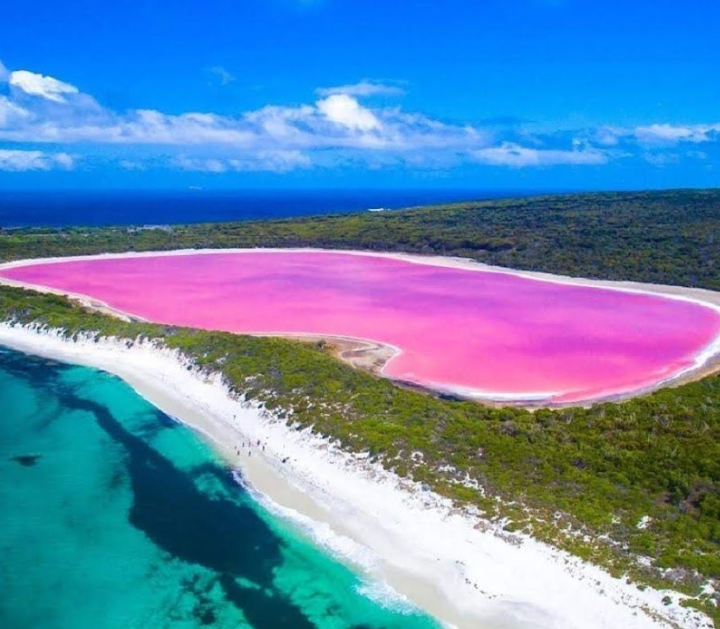 Lago Hillier: o incrível lago Cor-de-Rosa da Austrália!