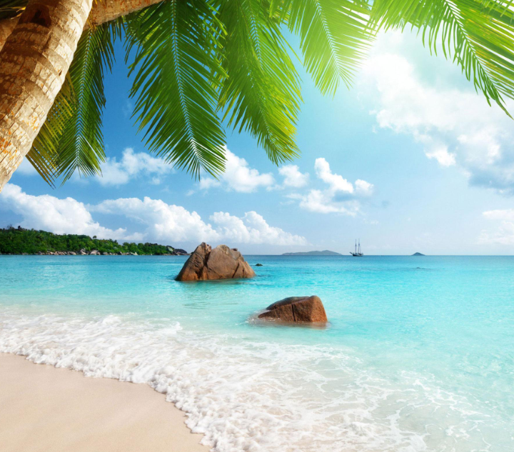 Qual é a melhor época para ir ao caribe?