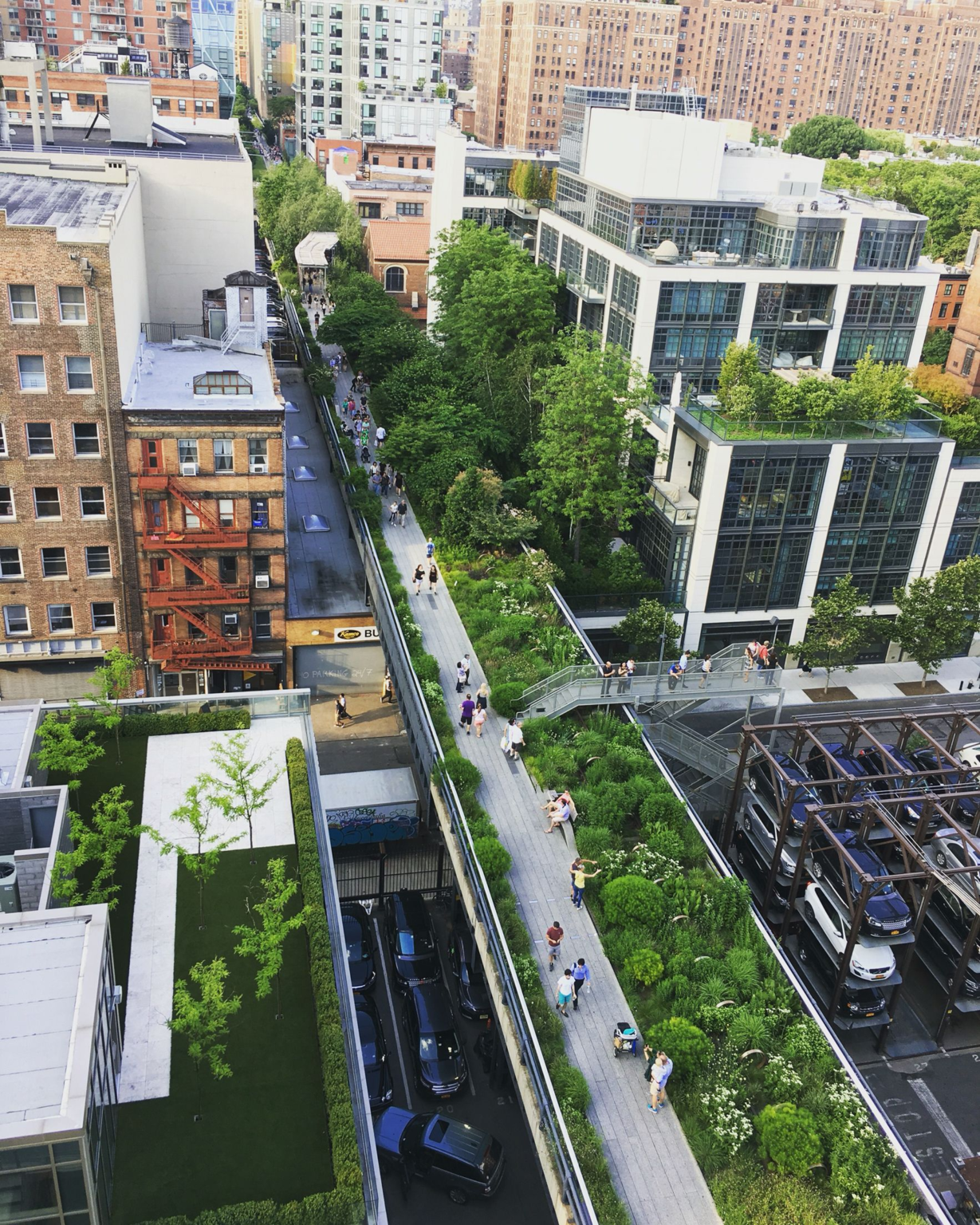High Line Park: O Oásis Urbano que Transformou Trilhos em Flores ...