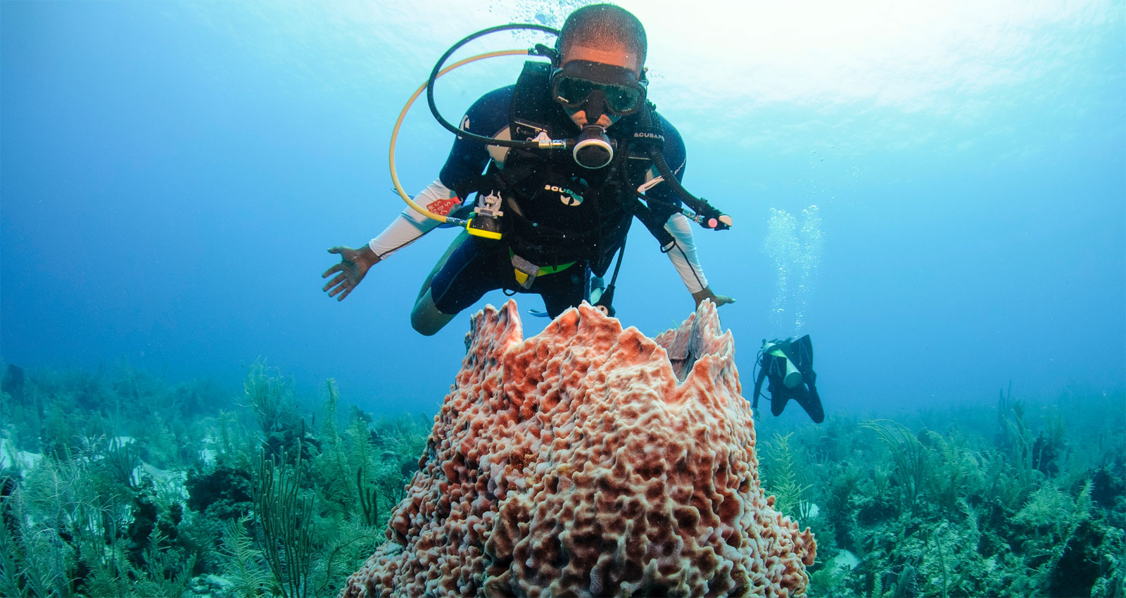 Buraco Azul belize: O Abismo Marinho que Intriga e Fascina os ...