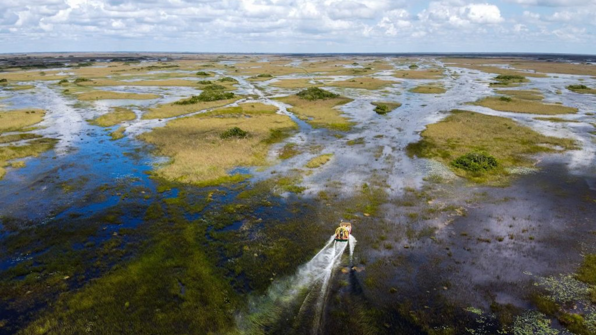Parque Nacional Everglades: O Coração Verde da Flórida - Viajar Sozinho