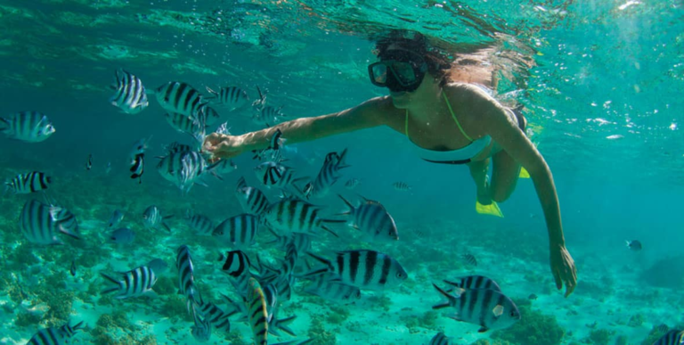 Guia Completo de Viagem: Descubra as Ilhas Mauricio - Viajar Sozinho