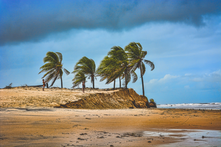 Descubra a Beleza da Foz do Rio São Francisco - Guia Completo - Viajar ...