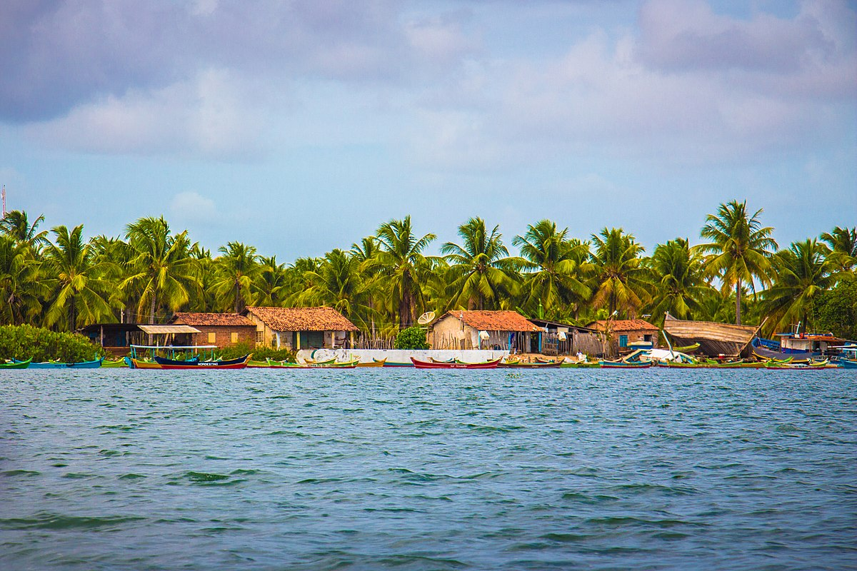 Descubra a Beleza da Foz do Rio São Francisco - Guia Completo - Viajar ...